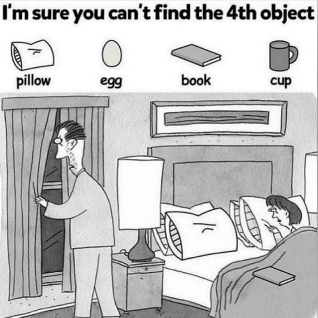 Im Sure You Cant Find The 4th Object Pillow Egg Book Cup Ifunny