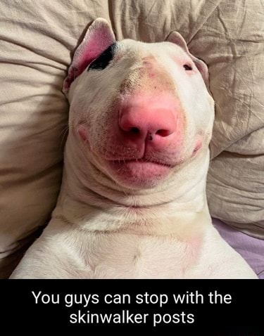 You guys can stop with the skinwalker posts - iFunny