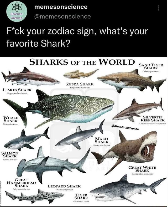 Memesonscience @mem nc F*ck your zodiac sign, what's your favorite ...