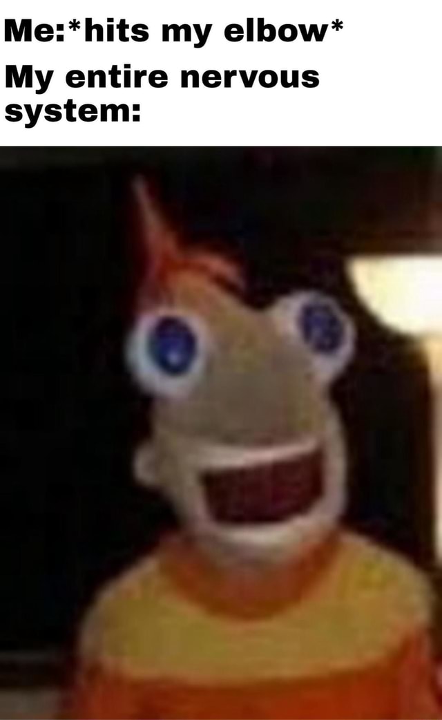 Me:*hits my elbow* My entire nervous system: - iFunny