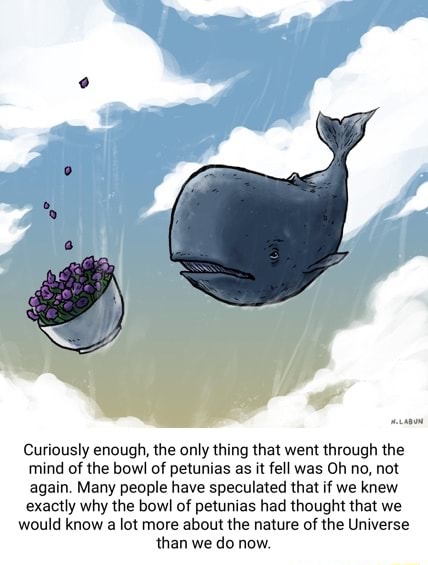 Curiously enough, the only thing that went through the mind of the bowl ...
