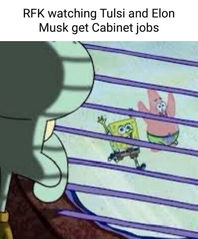 RFK watching Tulsi and Elon Musk get Cabinet jobs - iFunny