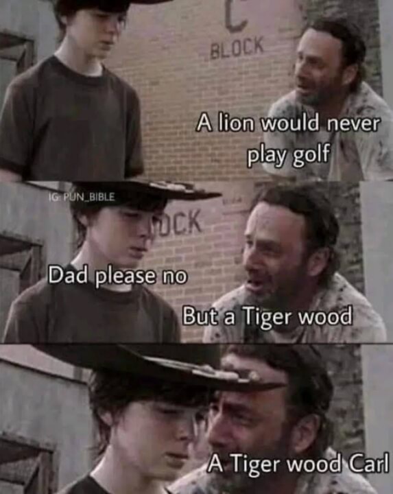 Would never - ! Tiger woadl A Tiger - America’s best pics and videos