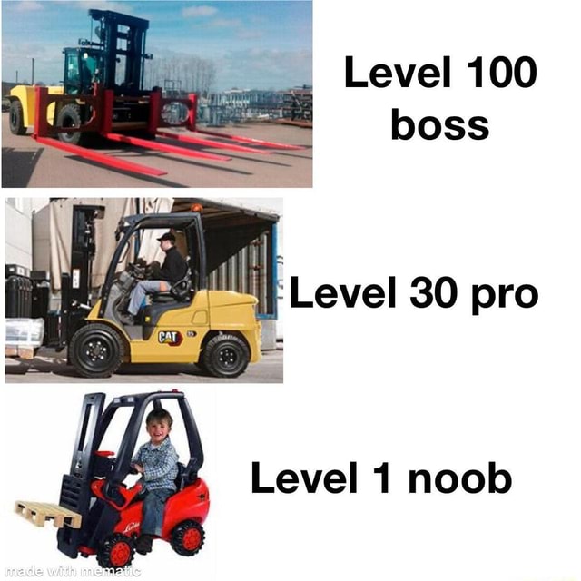Level 100 boss pro Level 1 noob - iFunny