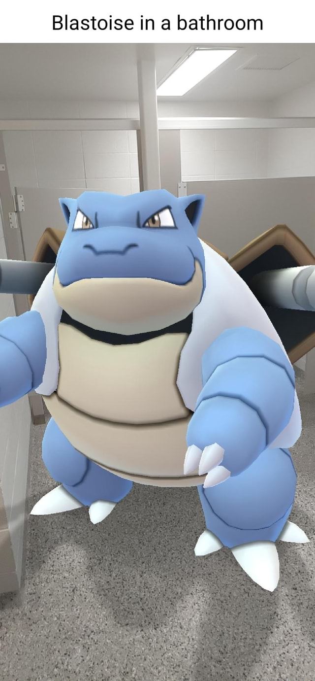 Blastoise in a bathroom - iFunny