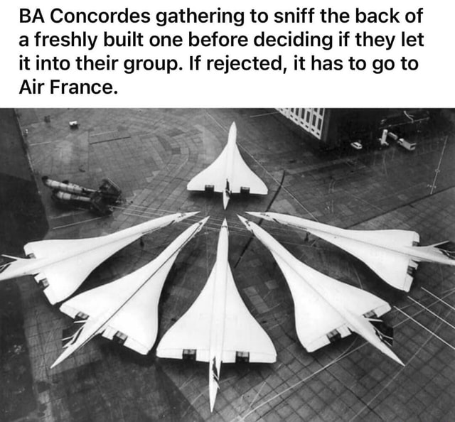 BA Concordes gathering to sniff the back of a freshly built one before ...