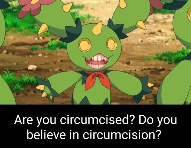 Are you circumcised? Do you believe in circumcision? - iFunny