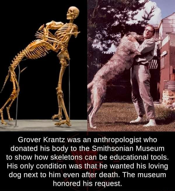 Grover Krantz was an anthropologist who donated his body to the ...