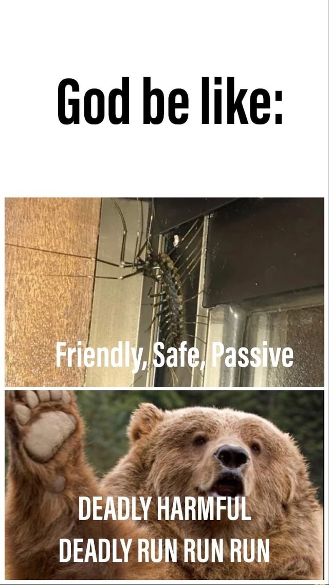 God be like: Friendly, Safe, Passive DEADLY HARMFUL DEADLY RUN RUN RUN ...