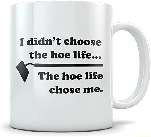 Didn't choose the hoe life... The hoe life chose me. - iFunny