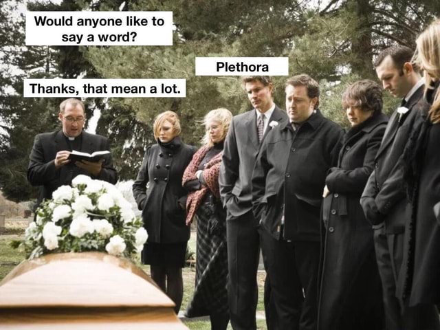 Would anyone like to say a word? Plethora that mean lot. - iFunny