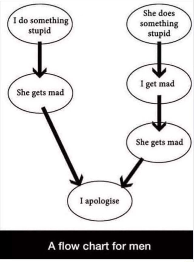 She gets mad I apologise A flow chart for men - iFunny