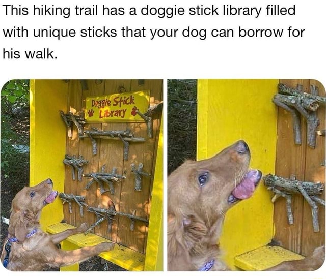 This hiking trail has a doggie stick library filled with unique sticks ...