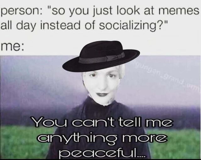 Person: "so you just look at memes all day instead of socializing?" You ...