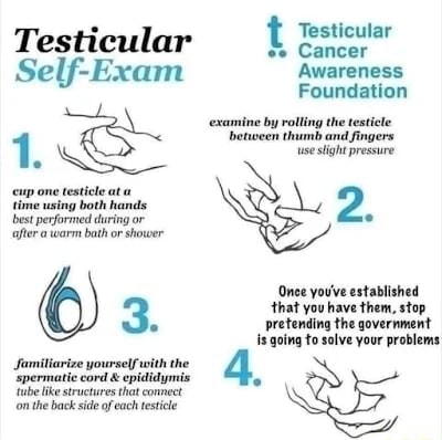 Testicular Self-Exam 'cup one testicle ata time using both hands best ...