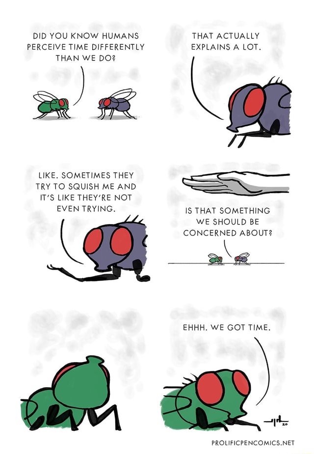 DID YOU KNOW HUMANS THAT ACTUALLY PERCEIVE TIME DIFFERENTLY EXPLAINS A ...