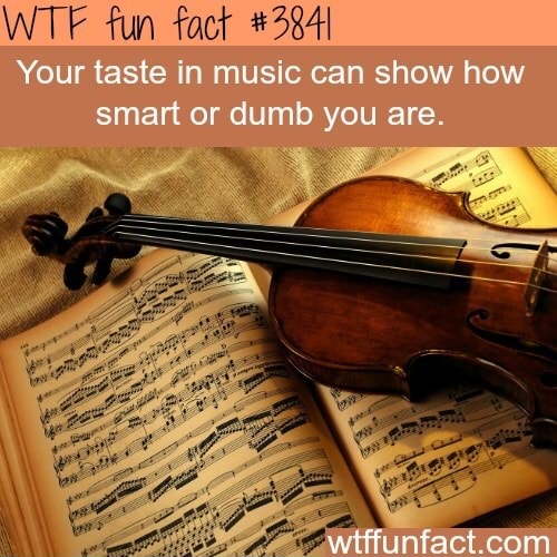 Fun Your taste in music can show how smart or dumb you are. - iFunny