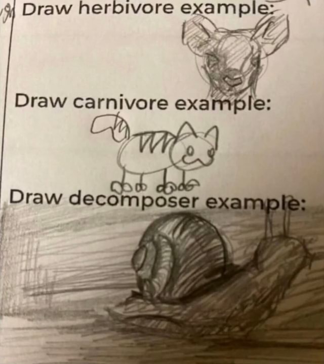 Draw herbivore example: Draw carnivore examples Draw decomposer - iFunny