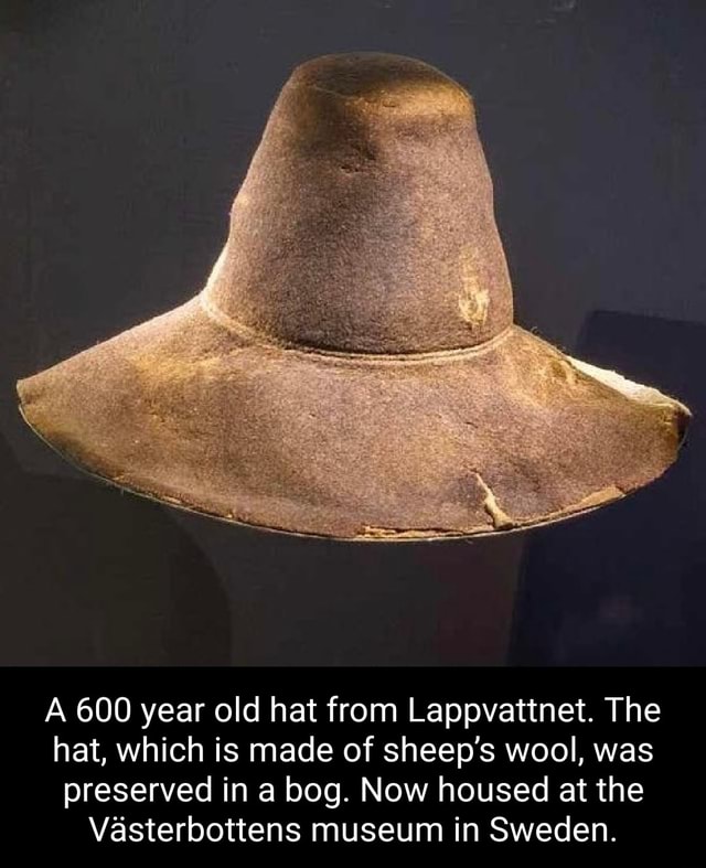 A 600 year old hat from Lappvattnet. The hat, which is made of sheep's ...