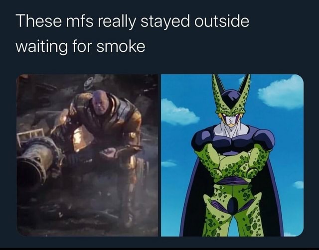 These mfs really stayed outside waiting for smoke - iFunny