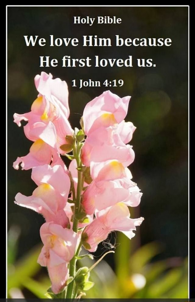Holy Bible We love Him because He first loved us. 1 John - iFunny