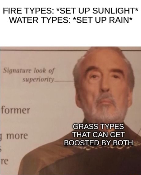 FIRE TYPES: *SET UP SUNLIGHT* WATER TYPES: *SET UP RAIN* Signature look ...