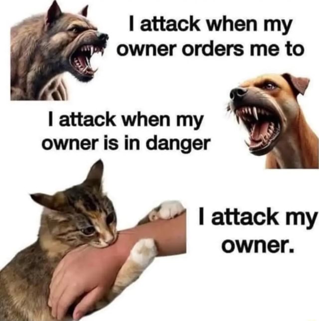 I attack when my owner orders me to I attack when my owner is in danger ...
