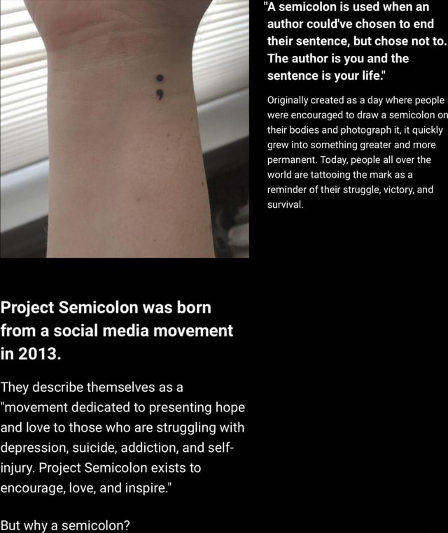 "A semicolon is used when an author could've chosen to end their ...