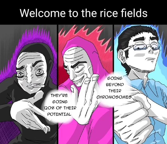 Welcome to the rice fields GOING BEYOND THEIR THEY I CHROMOSOM GOING ...