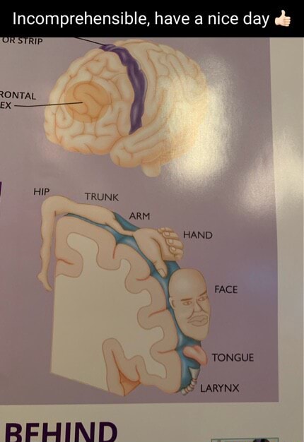 Incomprehensible, have nice day es OR STRIP. RONTAL EX TRUNK WARM HAND ...