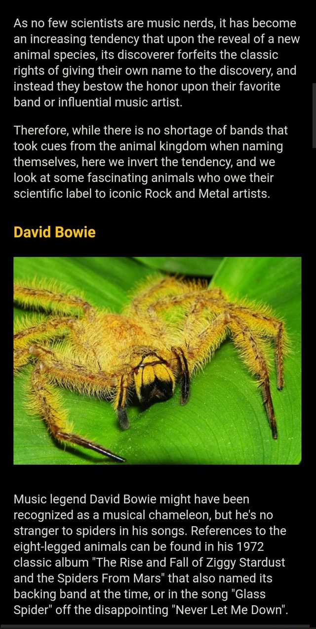 The mith... The legend... - As no few scientists are music nerds, it ...