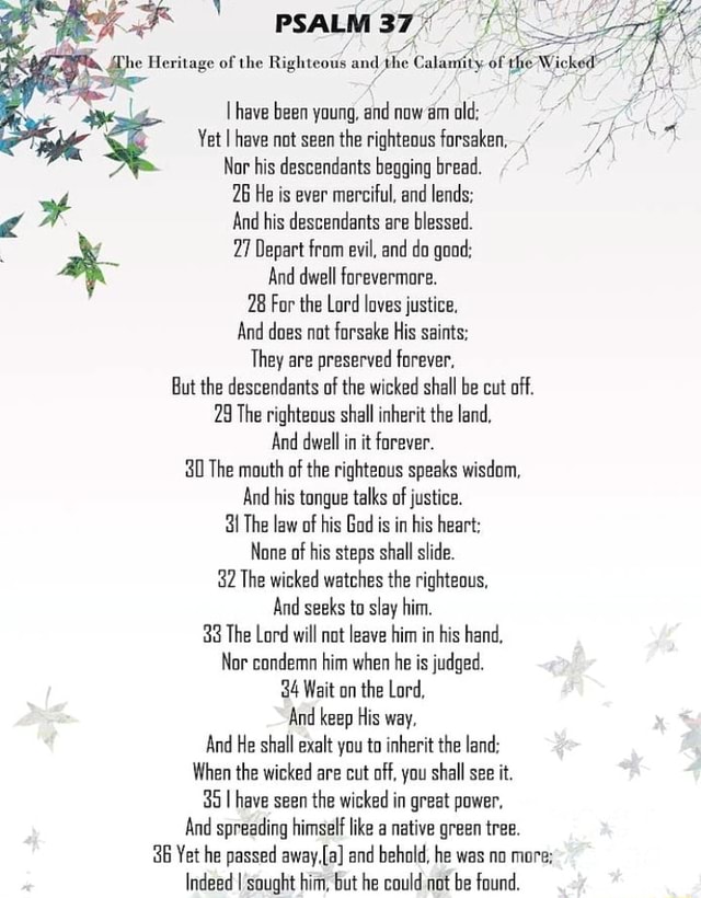 A ; he Heritage of the Righteous and the Calamity the I have been young ...