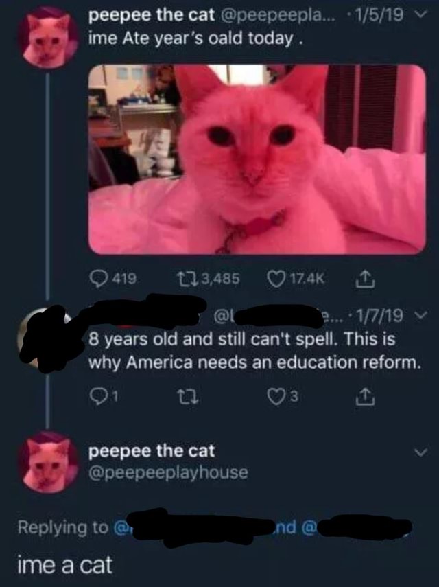Peepee the cat @peepeepla... v ime Ate year's oald today . 419 if 8 ...