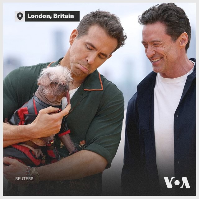 Cast member Ryan Reynolds holds Britains ugliest dog Peggy who plays ...