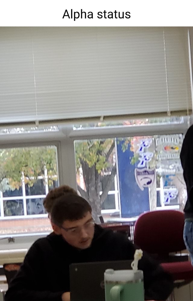 Alpha status te - iFunny