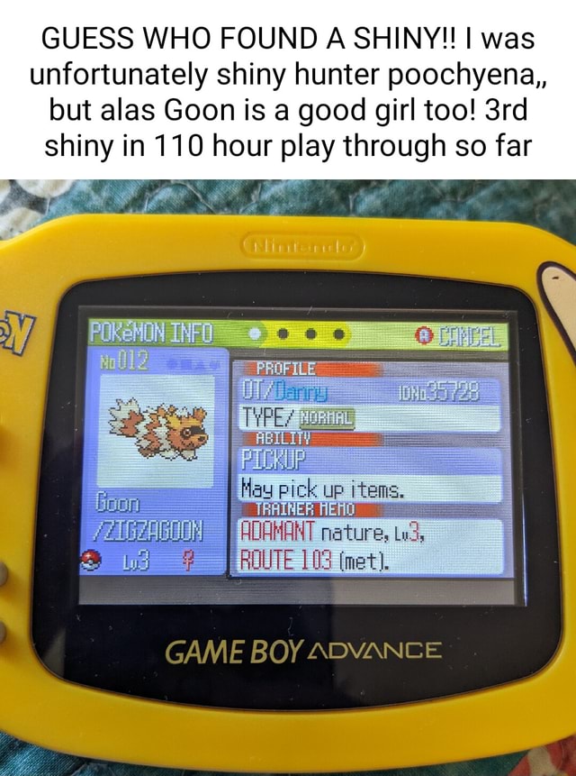 GUESS WHO FOUND A SHINY!! I was unfortunately shiny hunter poochyena ...