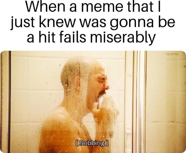 When a meme that I just knew was gonna be a hit fails miserably I - iFunny