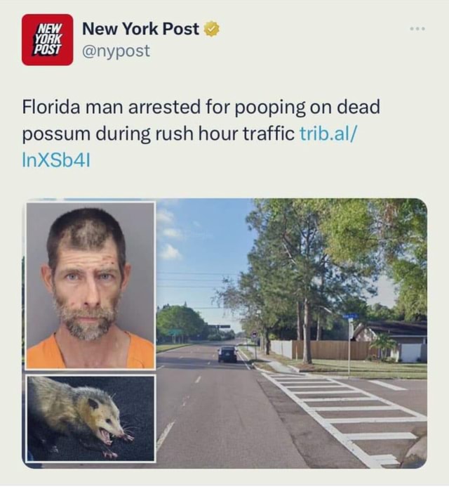 Florida man arrested for pooping on dead possum during rush hour ...