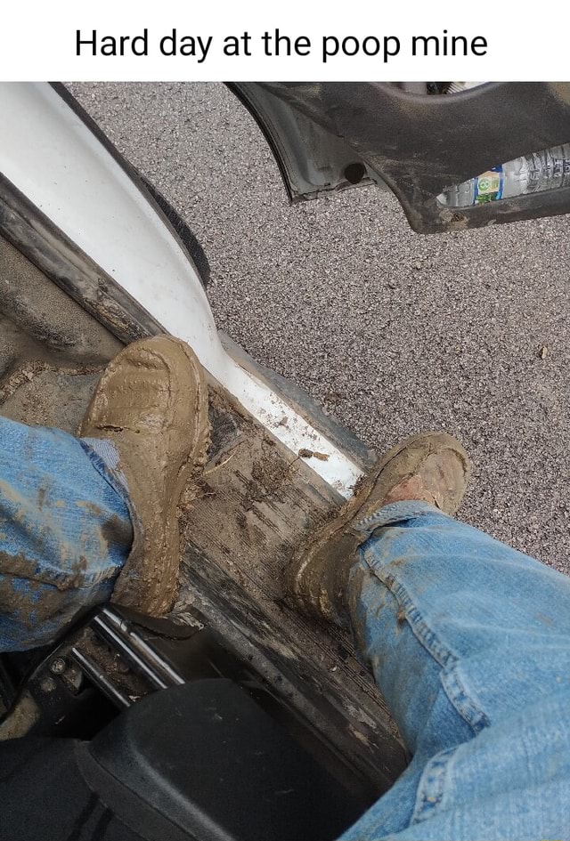 Hard day at the poop mine - iFunny