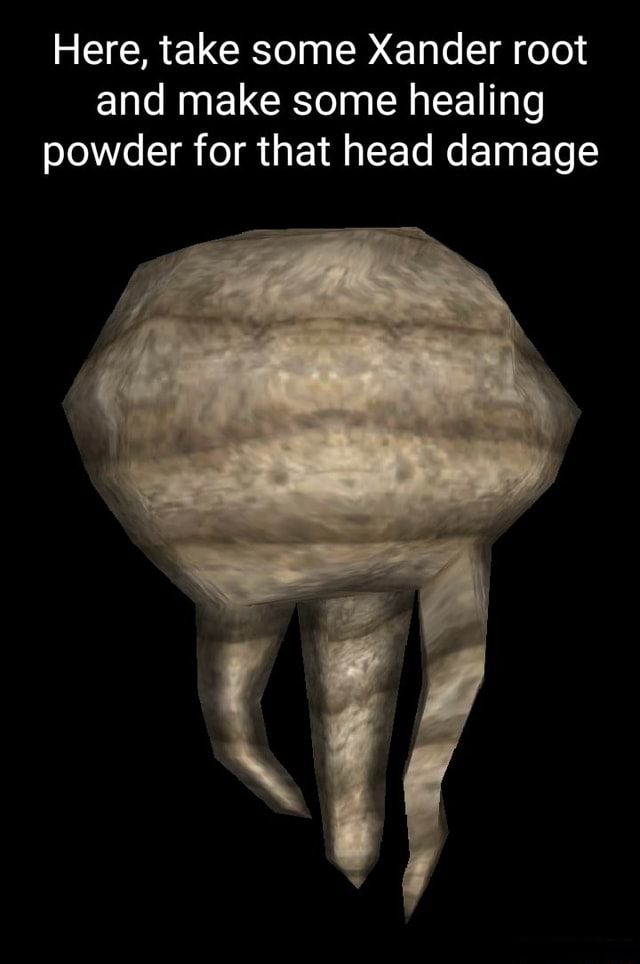 Here, take some Xander root and make some healing powder for that head ...