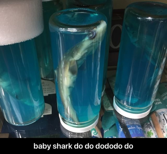 Baby shark do do dododo do - iFunny