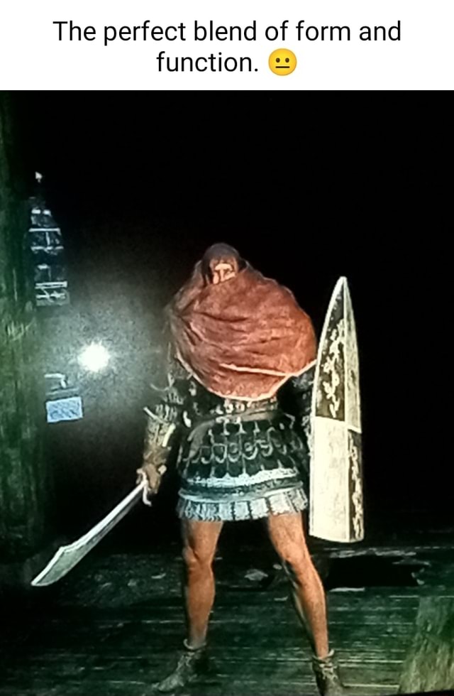 The perfect blend of form and function. - iFunny