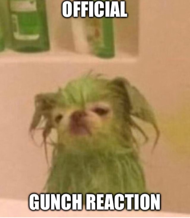 OFFICIAL GUNCH REACTION - iFunny