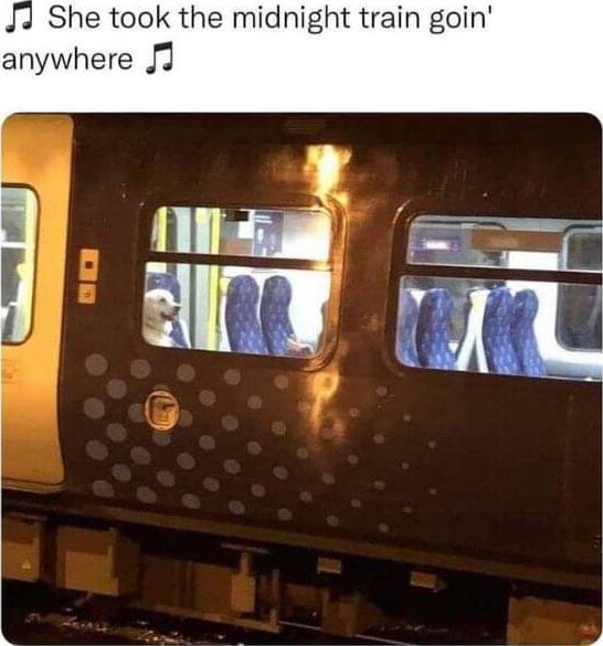 She took the midnight train goin' anywhere - iFunny