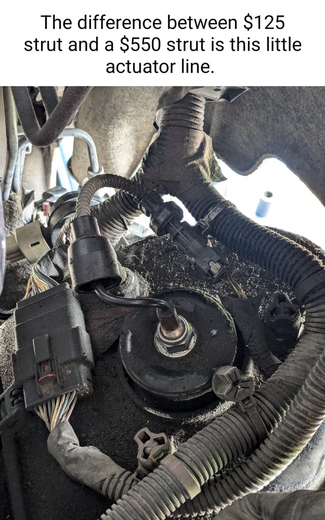 The difference between $125 strut and a $550 strut is this little ...