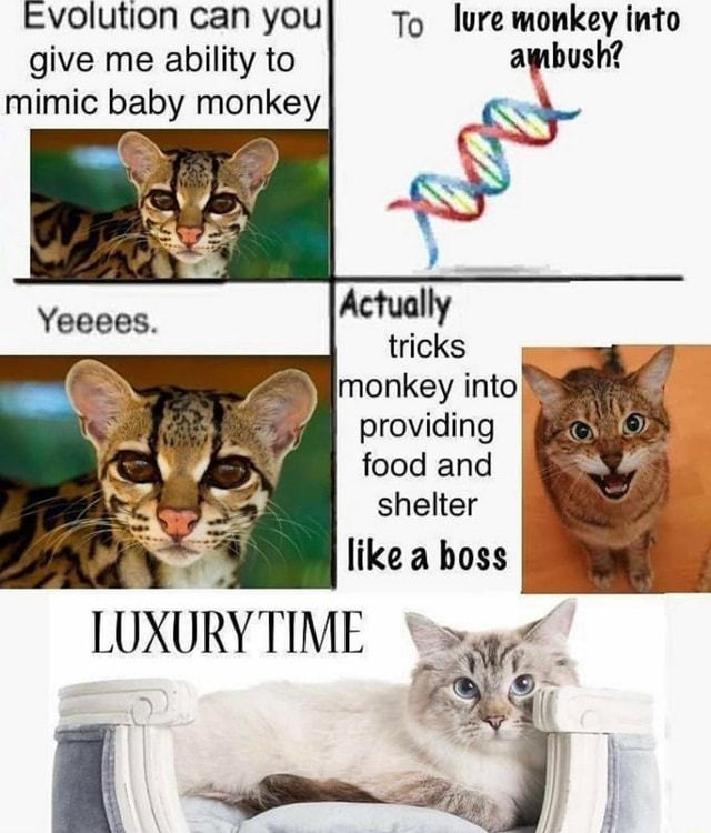 Evolution can you give me ability to mimic baby monkey To lure monkey ...