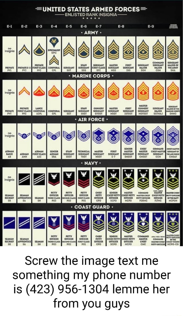 =UNITED STATES ARMED FORCES> ENLISTED RANK INSIGNIA-- ARMY II SERGEANT ...