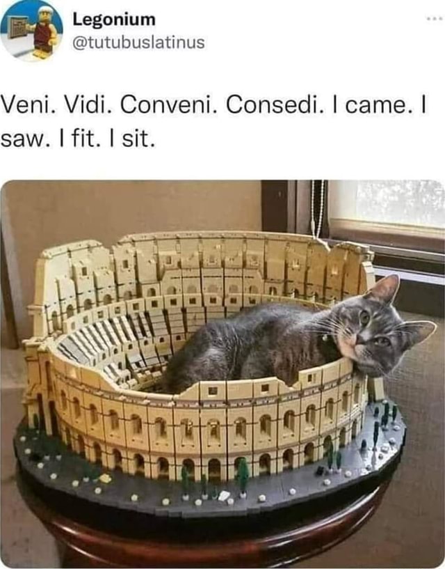 Legonium Veni. Vidi. Conveni. Consedi. I came. I saw. fit. sit. - iFunny