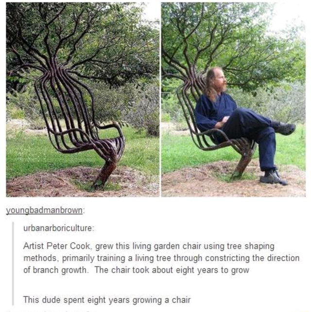 Youngbadmanbrown urbanarboriculture Artist Peter Cook. grew this living ...