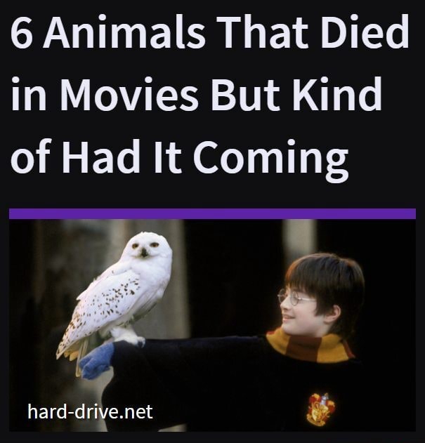 6 Animals That Died in Movies But Kind of Had It Coming net - America’s ...